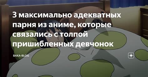 3 максимально адекватных парня из аниме которые связались с толпой пришибленных девчонок Baka