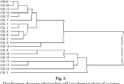 Figure 1 From Morphological And Molecular Diversity Of Ganoderma Spp