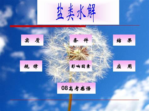 高三复习：《盐类的水解》课件word文档在线阅读与下载无忧文档