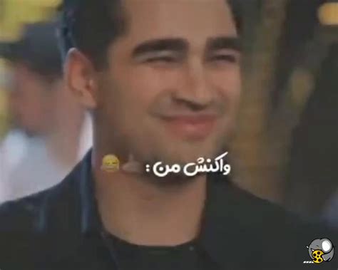 بهترین دوست انیو میدونه فیلو