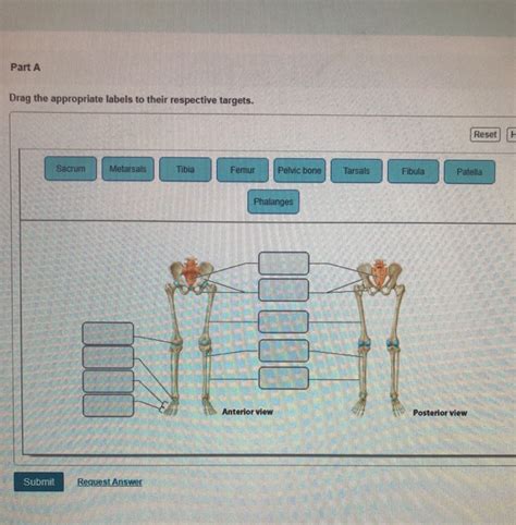Solved Part A Drag The Appropriate Labels To Their