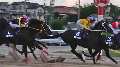 User Nj9yh8qi1f 浦和競馬75周年記念 風が吹いている為音声にバリバリ音🙇😵 しらこばと賞 第11r 勝利 おめでとう