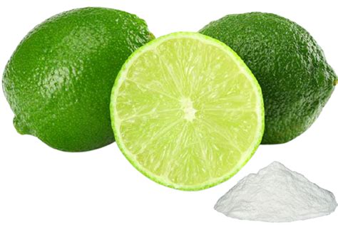 Lime Instant Extract Powder Ceyshine Corporation