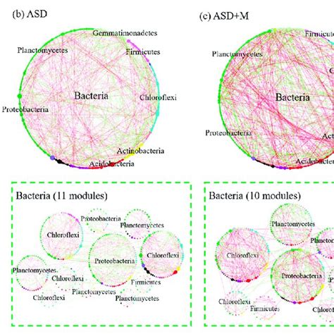Co Occurrence Pattern Of The Bacterial Community And Co Occurrence