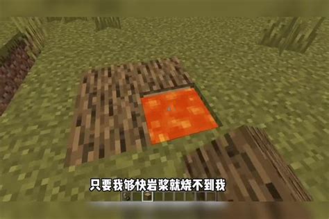 我的世界：当牛顿来到我的世界二我的世界