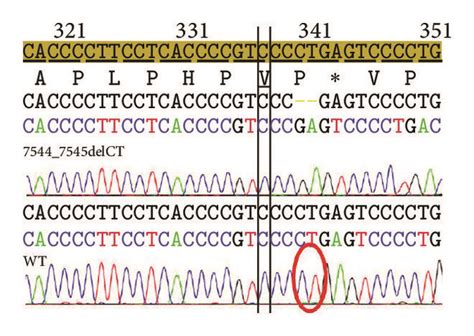 Fragment Analysis And Sequencing Results A Fragment Analysis Of A Download Scientific