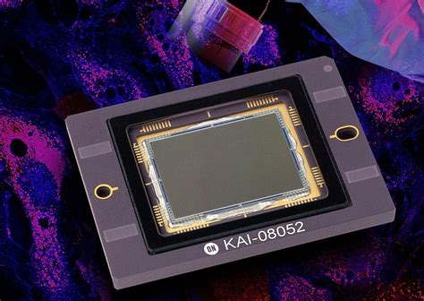 CCD Image Sensors Step Up Near Infrared Response