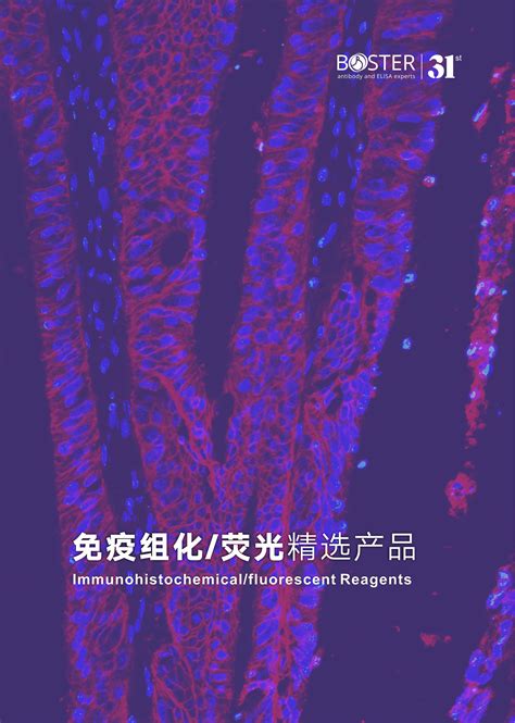 资料下载 博士德生物 Boster Biological Technology Co Ltd 1993 2024