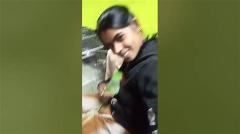 আমার কোলে কে ভিডিও টা দেখ তোমরা Youtube