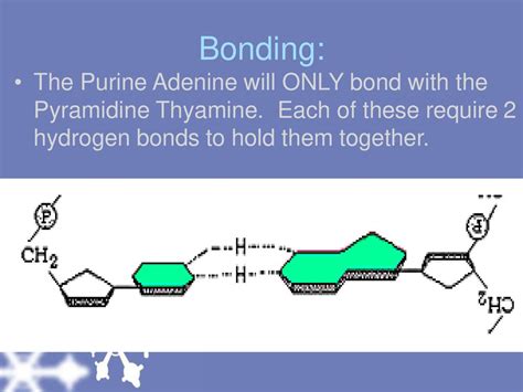 Nucleic Acids Biotechnology Ppt Download