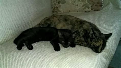 Mother Son Have Unbreakable Bond