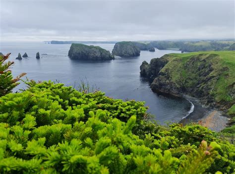 Tours To Sakhalin And The Kuril Islands 2024 Adventurous Trips And