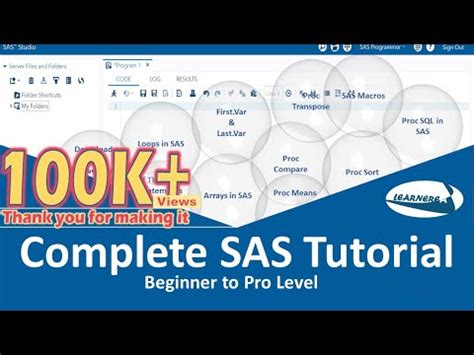 SAS Tutorial For Beginners To Pro Level The Complete SAS Tutorial How To Learn SAS