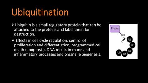 Post Translational Modification Of Protein Pptx