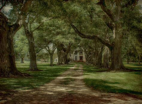 Plantation By Mladylake On Deviantart