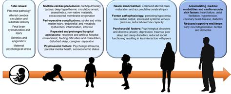 Accumulative Neurodevelopmental And Cognitive Risk Factors Across The