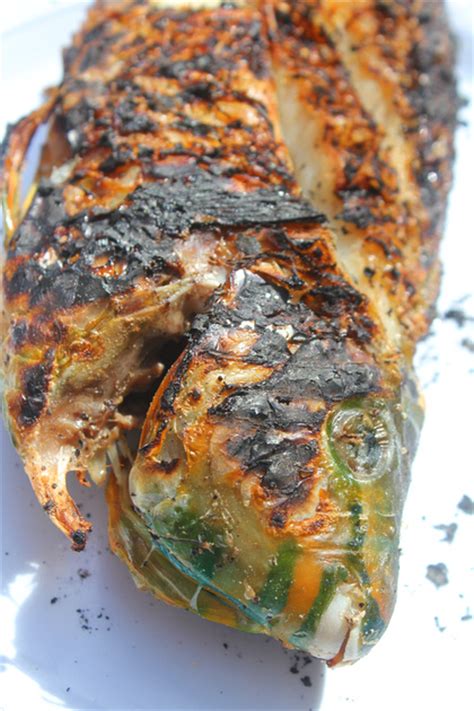 The 15 Best Ideas For Parrot Fish Recipes How To Make Perfect Recipes