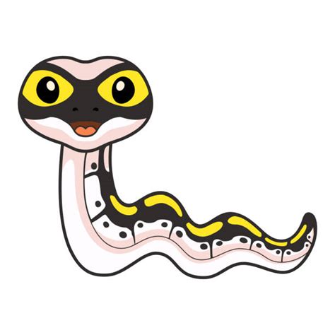 120 Royal Albino Python Illustrations Royalty Free Vector Graphics