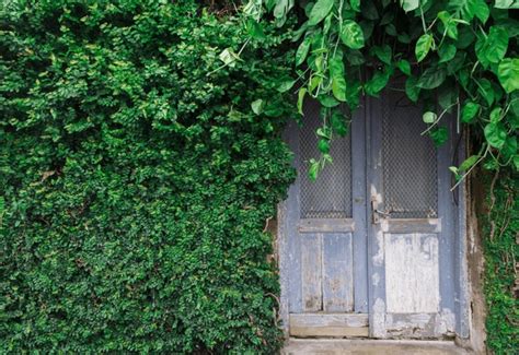 Doorway Enchantment Royalty Free Images Stock Photos Pictures