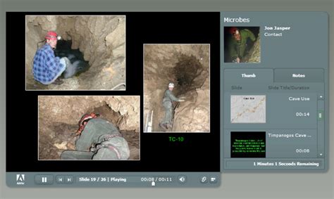 Disturbed Vs Pristine Microbial Communities Play Online On Flash Museum 🕹️