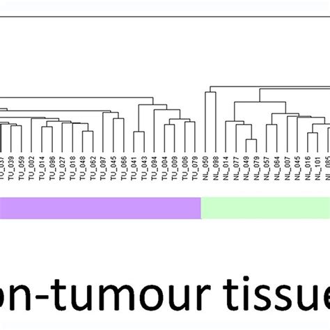 Unsupervised Hierarchical Clustering Of K2 Samples Unsupervised