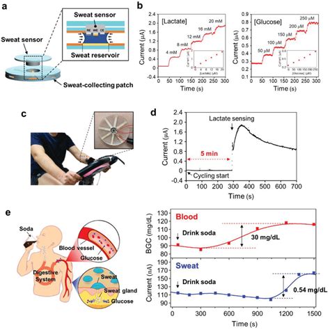 Demonstration Of On‐body Operation With Sweat Sensor A Schematic Download Scientific Diagram