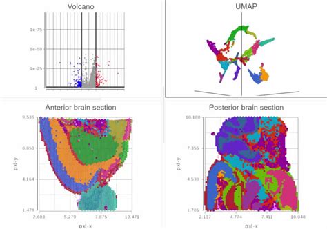 Visium Analysis In Partek Flow Alison Hargreaves