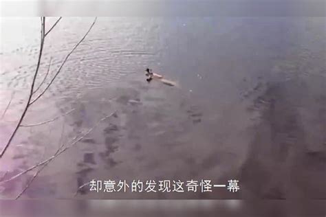 小哥发现水面异常，凑近一看却惊呆了，镜头拍下罕见的一幕
