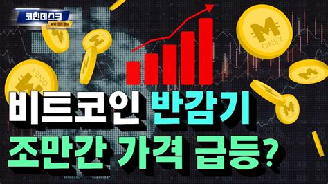 비트코인 반감기 조만간 가격 급등 Youtube