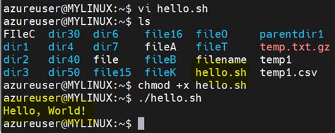 Shell Scripting Geekershub