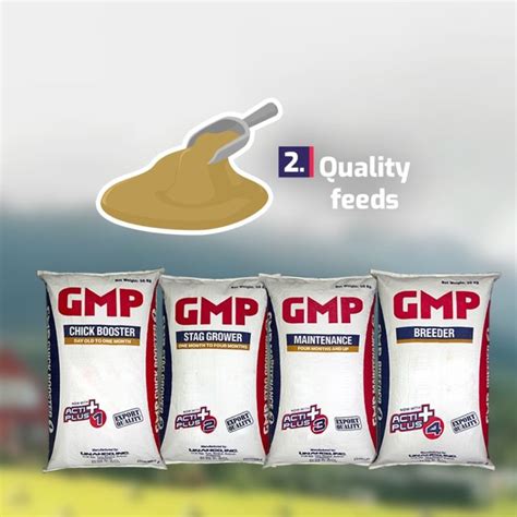 Denge Unahco Gmp 1 Chick Booster Gmp 2 Stag Grower Gmp 3 Maintenance