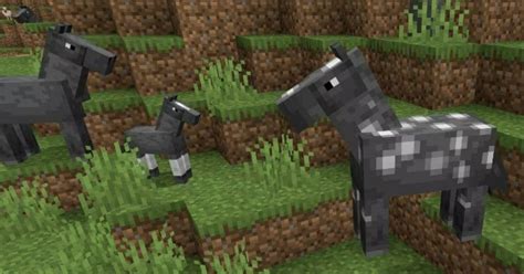 How To Breed Horses In Minecraft