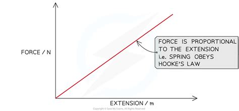 Investigating Force And Extension Oxford Aqa Igcse Physics Revision Notes 2016
