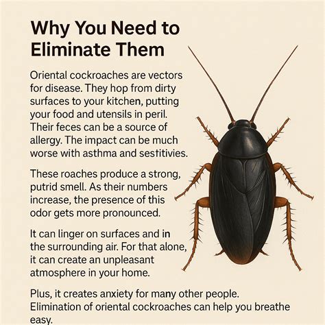 Do Oriental Cockroaches Infest