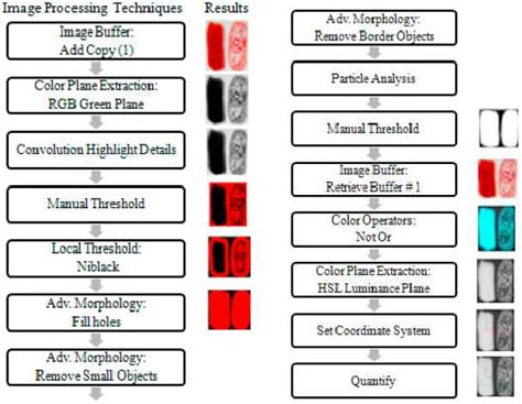 Image Processing Techniques Developed 9 Download Scientific Diagram
