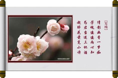 梅此處應該有掌聲 每日頭條