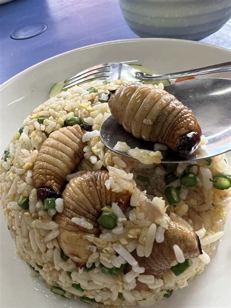 What Worm Looks Like Rice At Crystal Yazzie Blog