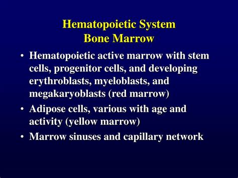 Ppt Hematopoietic System 1 Bone Marrow Hematopoiesis Powerpoint