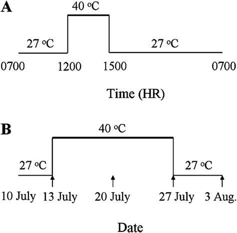 Temperature Schedule For High Temperature Treatment During Late Stage