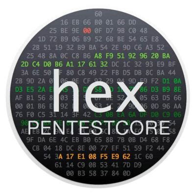 تبدیل hex به text و بالعکس با استفاده از سایت های انلاین پن تست کور
