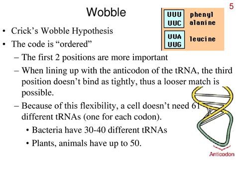 Storage And Use Of Genetic Information Ppt Download
