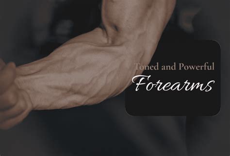 The Best Exercises For Toned And Powerful Forearms Natty Club