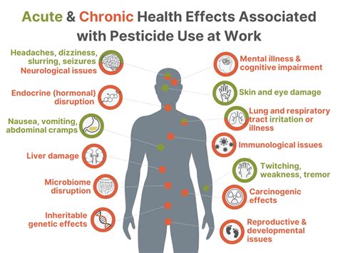 Harmful Effects Of Pesticides On Human Health