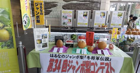 長壁真樹 第34回 榛名のジャンボ梨コンテスト