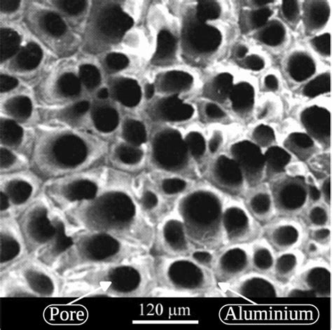 Micrograph Of The Solid Gas Eutectic Solidification Gasar Aluminium