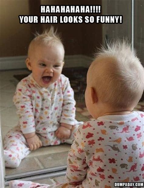 Funny Pictures Pics