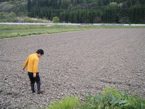 秋に田んぼを耕すか、耕さないか。 岩手県遠野市のお米農家 勘六縁 無肥料・無農薬のこだわり自然栽培米