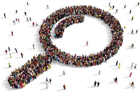 Qué Es Investigación Social Tipos Importancia Ejemplos