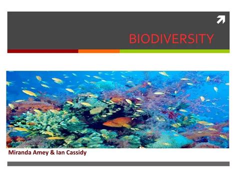 Ppt Biodiversity Powerpoint Presentation Free Download Id2470759