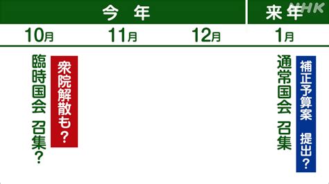 【q＆a】衆議院解散は？岸田首相指示の経済対策は？補正予算案は？臨時国会は？今の政治状況をデスクが解説 Nhk政治マガジン